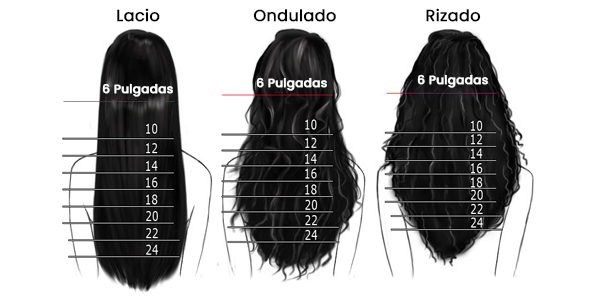 Longitud de cabello para tu prótesis capilar ó peluca de cabello real ...